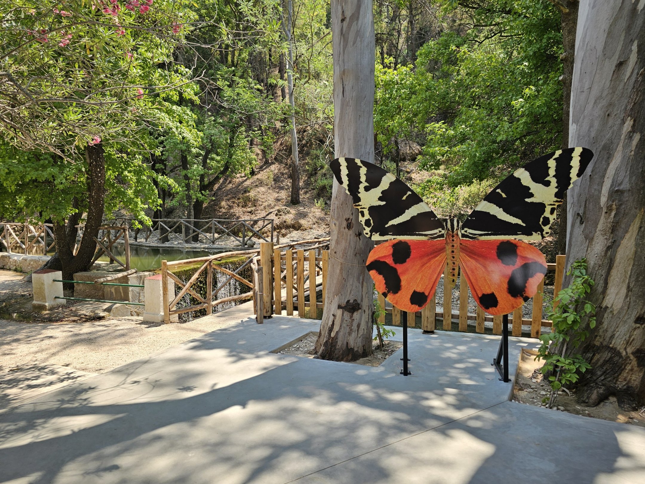 Vallée des papillons (Petaloudes), Rhodes - tout ce qu'il faut savoir